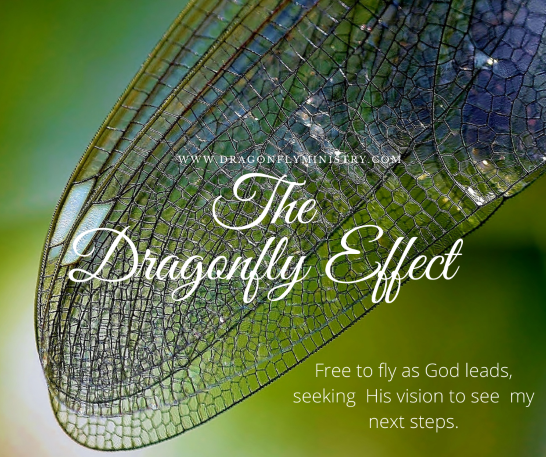 Dragonfly Ministry